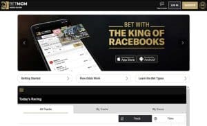 Best Horse Racing Betting Sites in the US 2023 - US Racebooks