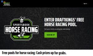 Best Horse Racing Betting Sites in the US 2023 - US Racebooks